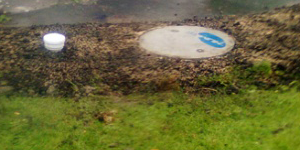 Septic tank services Auckland septic tanks nz Rodney Papakura